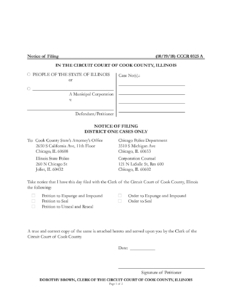 Chicago Notice of Filing | DIY Xpunge Chicago